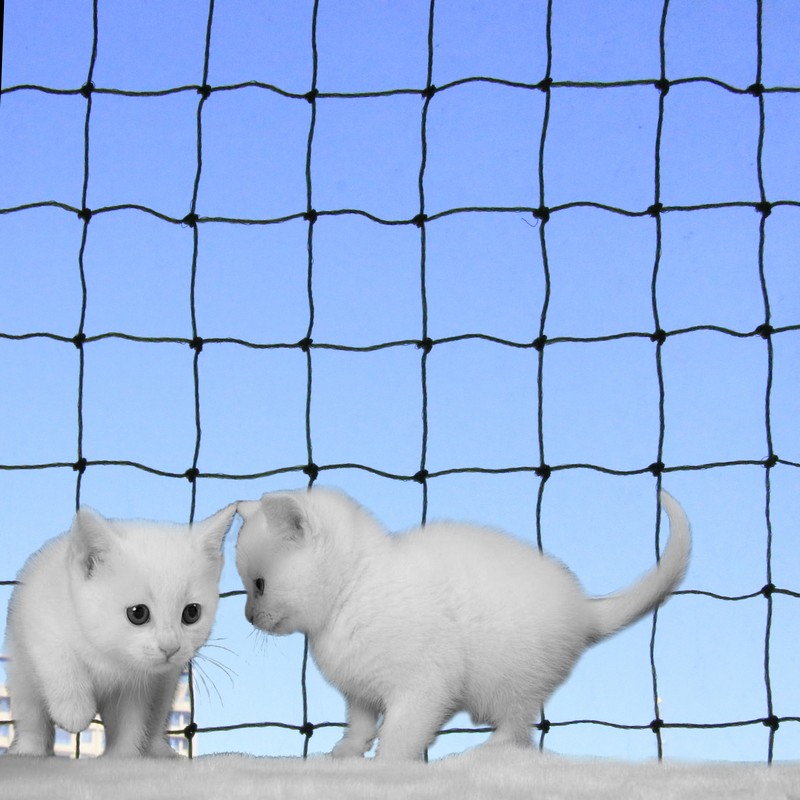 Products Archives - CAT PROTECTION NET,CAT NET,Balcony Netting