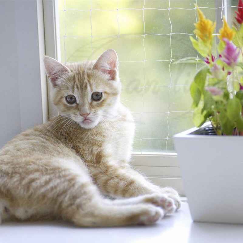 Xl-8m×3m Balcony Cat Protection Net Nylon Cat Net With Rope
